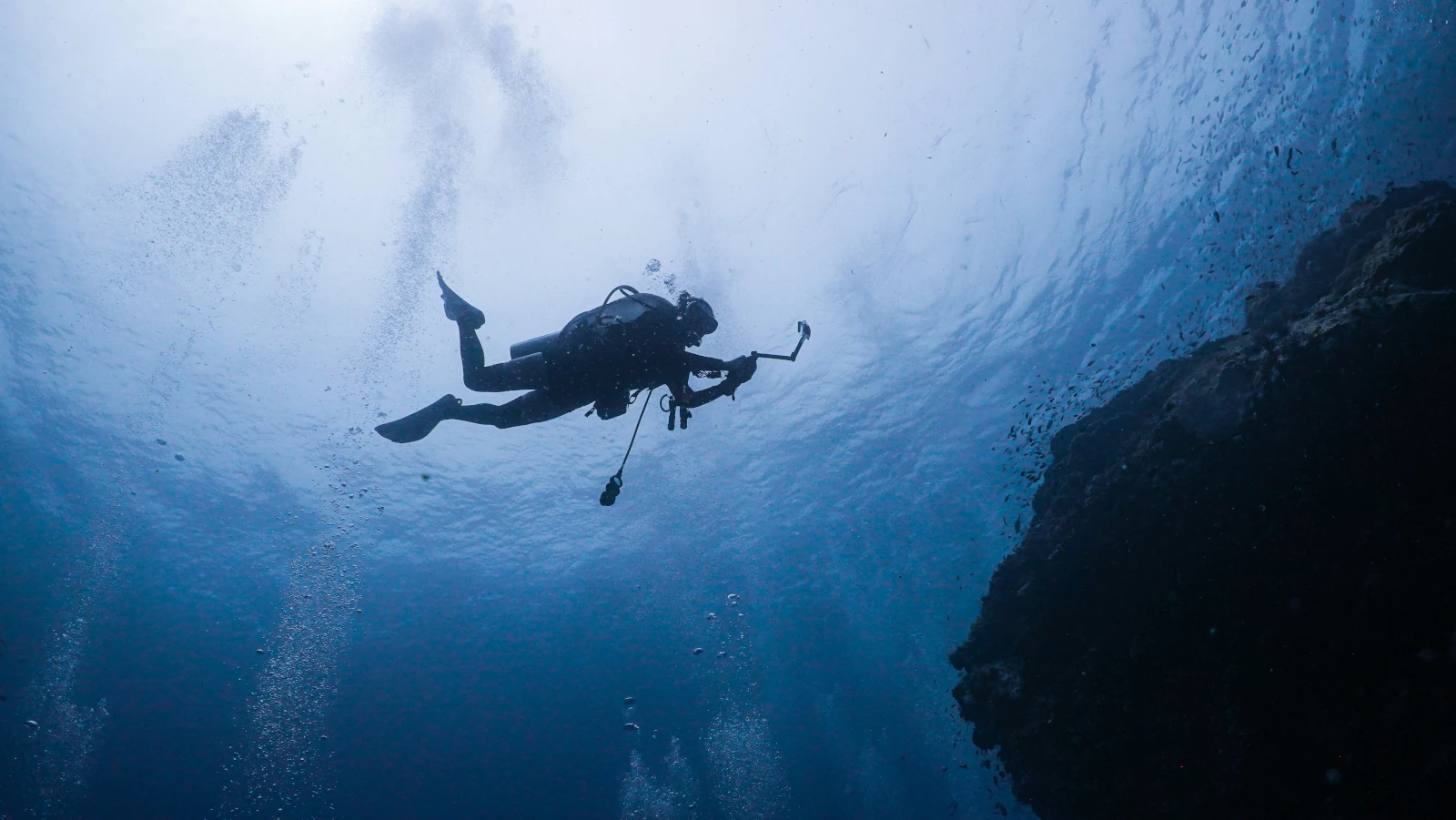 The Top 5 Cold Water Scuba Diving Destinations - Submerge In Scuba